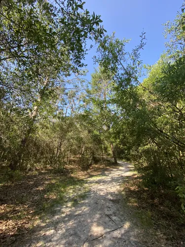 Best Hikes and Trails in Fish Hawk Nature Preserve North | AllTrails