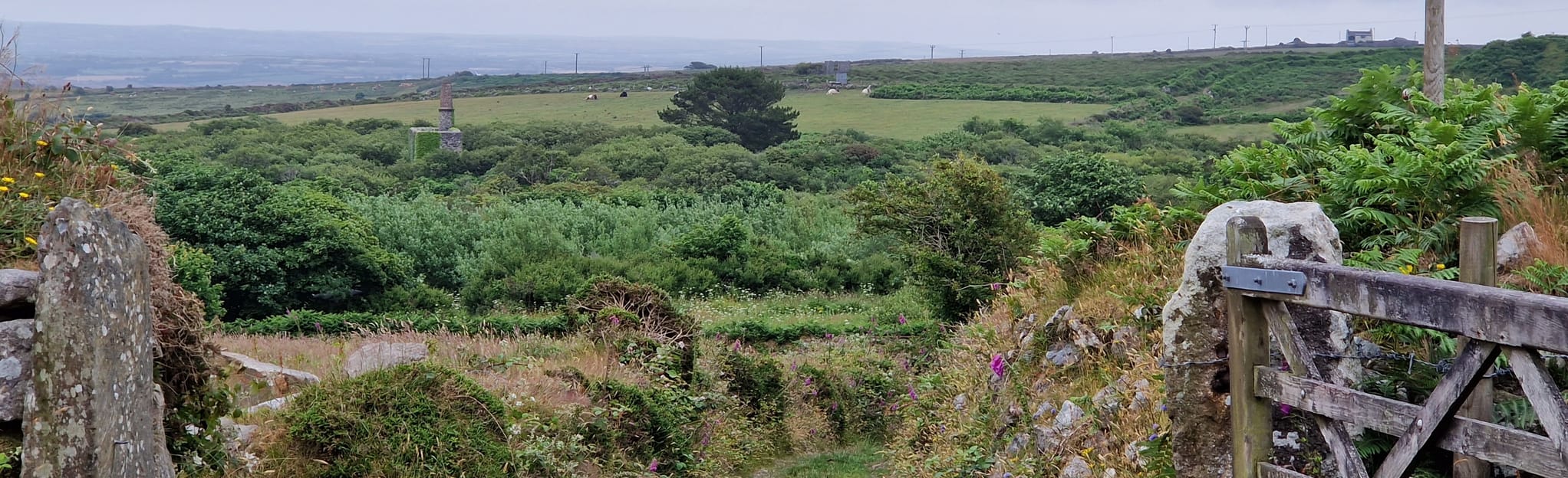 Bakers Pit, Castle an Dinas, and Carnaquidden Downs Circular: 20 Fotos ...