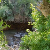 Dripping Rock Falls, Utah - 713 Reviews, Map | AllTrails