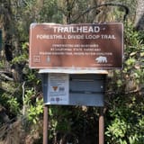 Foresthill Divide Loop, California - 1,023 Reviews, Map | AllTrails