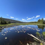 Bridger Lake Shore Trail, Wyoming - 7 Reviews, Map | AllTrails