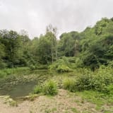 Hackfall Explorer, North Yorkshire, England - 428 Reviews, Map | AllTrails