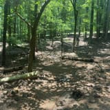 Little Gap Trail, South Carolina - 597 Reviews, Map | AllTrails