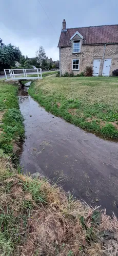 Best Trails, Walks, and Paths in Bedale | AllTrails