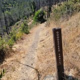 Goodspeed-Nattkemper Trail to Mount Hood Peak and Gunsight Lookout ...