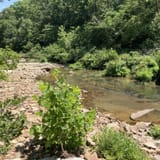 Kings River Falls Trail, Arkansas - 462 Reviews, Map | AllTrails