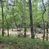 Bennett Spring Natural Tunnel Trail, Missouri - 730 Reviews, Map ...