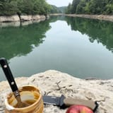Pigeon Roost Trail, Arkansas - 1,013 Reviews, Map | AllTrails
