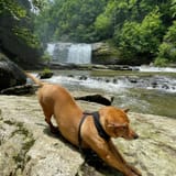 Compression Falls Trail, North Carolina - 352 Reviews, Map | AllTrails