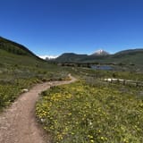 Lower Loop Trail, Colorado - 782 Reviews, Map | AllTrails