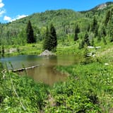 Gilpin Lake Trail, Colorado - 525 Reviews, Map | AllTrails