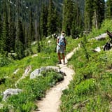 Gilpin Lake Trail, Colorado - 525 Reviews, Map | AllTrails