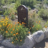 Oak Glen Preserve Trails, California - 648 Reviews, Map | AllTrails