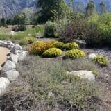 Oak Glen Preserve Trails, California - 648 Reviews, Map | AllTrails