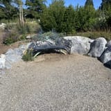 Oak Glen Preserve Trails, California - 648 Reviews, Map | AllTrails