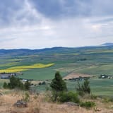 Kamiak Butte Trail, Washington - 689 Reviews, Map | AllTrails