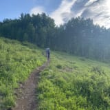 Engineer Mountain Trail, Colorado - 344 Reviews, Map | AllTrails