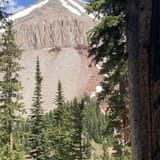 Engineer Mountain Trail, Colorado - 344 Reviews, Map | AllTrails