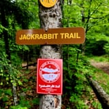 McKenzie Mountain via Jack Rabbit Trail, New York - 628 Reviews, Map ...