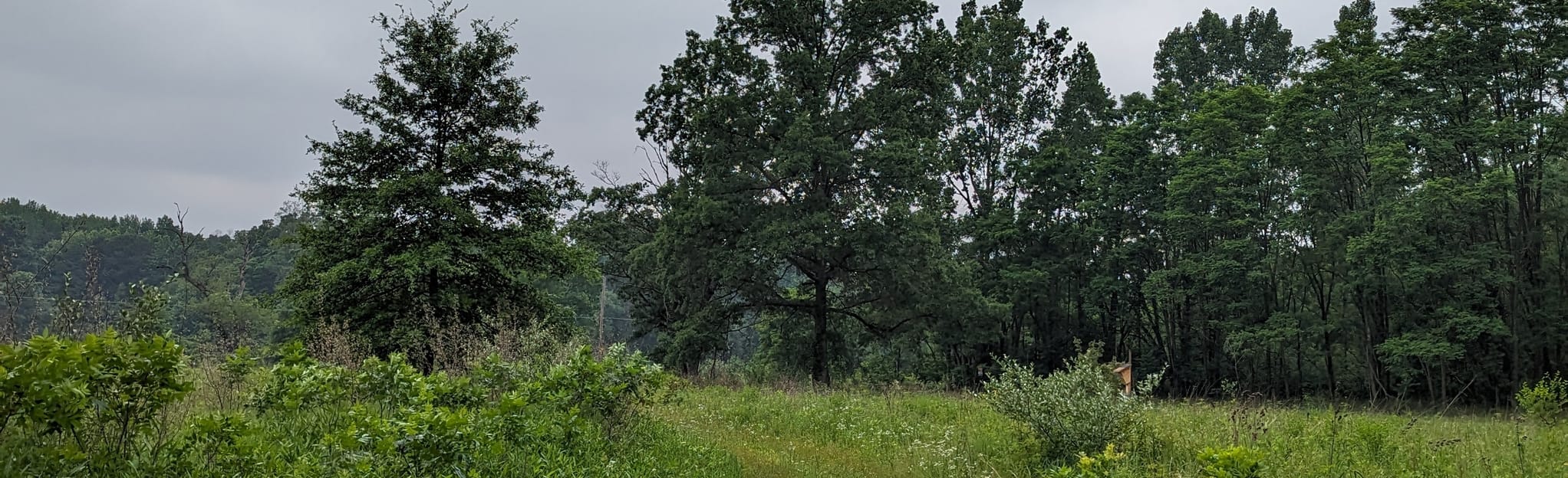 AllTrails | Oak Openings Horse Trails via Harry Hughes Equestrian ...