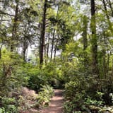 Weatherwax Trail, Washington - 294 Reviews, Map | AllTrails