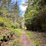 Weatherwax Trail, Washington - 294 Reviews, Map | AllTrails