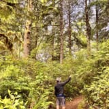 Weatherwax Trail, Washington - 294 Reviews, Map | AllTrails