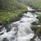 Resurrection Pass Trail, Alaska - 250 Reviews, Map | AllTrails