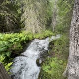 Resurrection Pass Trail, Alaska - 250 Reviews, Map | AllTrails