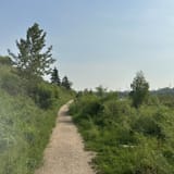 Rundle Park Bridge Loop Trail, Alberta, Canada - 268 Reviews, Map ...