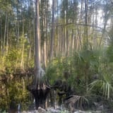 Starkey Park Paved Trail, Florida - 604 Reviews, Map | AllTrails