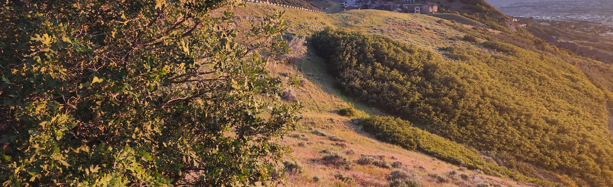 Red Potato Trail: 456 Reviews, Map - Utah | AllTrails