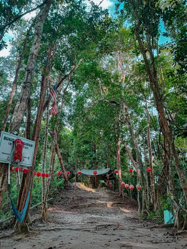 2023 Best Forest Trails in Hutan Lipur Soga Perdana | AllTrails