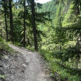 Dog River Trail, Oregon - 252 Reviews, Map | AllTrails