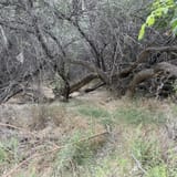 Bateman Island Loop, Washington - 166 Reviews, Map | AllTrails