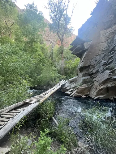 Best Forest Trails in Joseph | AllTrails