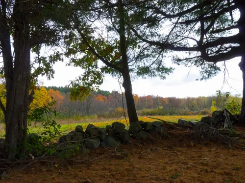 2023 Best River Trails in Wayland | AllTrails