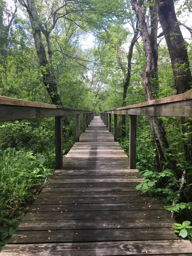 2023 Best River Trails in Wayland | AllTrails