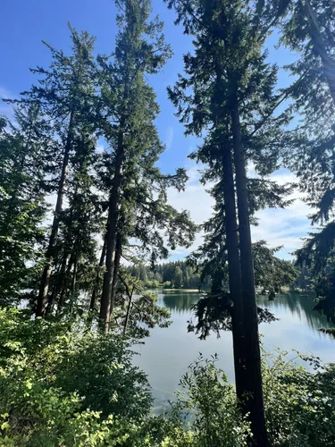 Best Horseback Riding Trails in Maple Valley | AllTrails