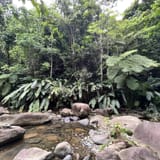 Angelito Trail, East Region, Puerto Rico - 521 Reviews, Map | AllTrails