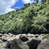 Angelito Trail, East Region, Puerto Rico - 521 Reviews, Map | AllTrails