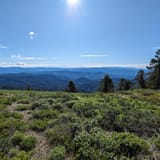 Mores Mountain Loop, Idaho - 415 Reviews, Map | AllTrails