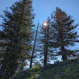 Mores Mountain Loop, Idaho - 415 Reviews, Map | AllTrails