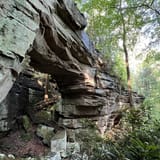 Split Bow Arch Loop, Kentucky - 200 Reviews, Map | AllTrails