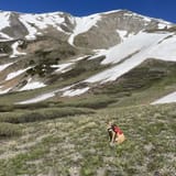 French Pass Trail, Colorado - 367 Reviews, Map | AllTrails