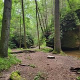 Koomer Ridge Trail, Kentucky - 577 Reviews, Map | AllTrails