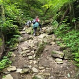 Koomer Ridge Trail, Kentucky - 577 Reviews, Map | AllTrails