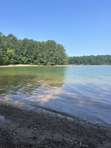 Beste wandelingen en routes in Little Ridge Park | AllTrails