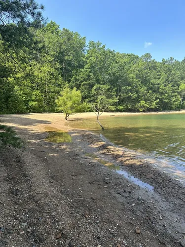 Beste wandelingen en routes in Little Ridge Park | AllTrails