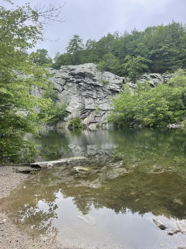 2023 Best Bird Watching Trails in Assonet | AllTrails